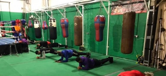 Za-luton Shamrock ABC