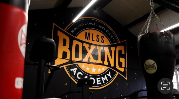 Mlss Boxing Academy